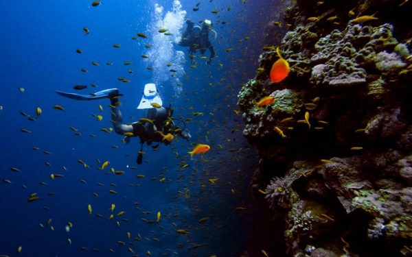 Wall Diving How to Prepare and What to Expect - Scuba Diving